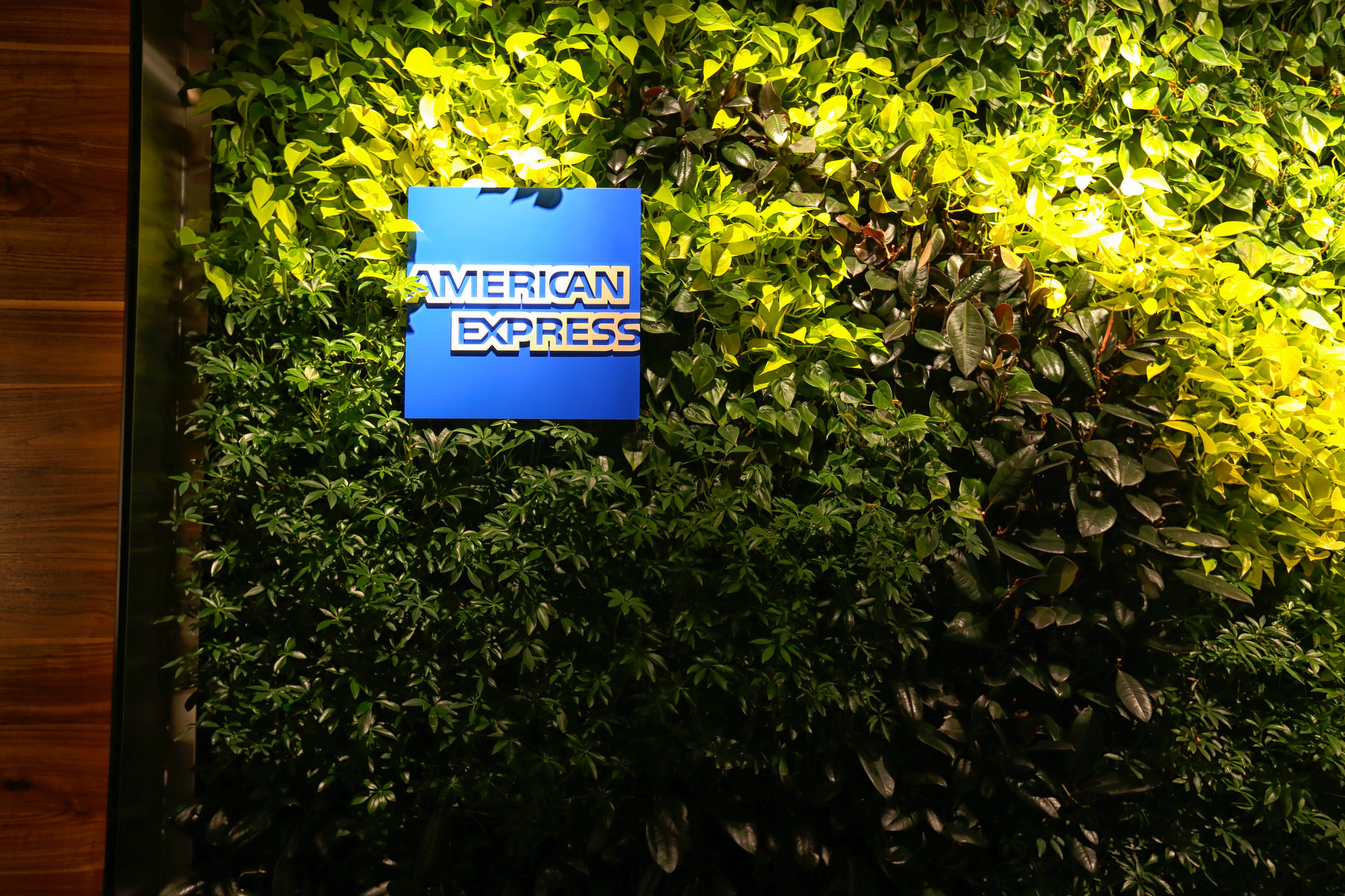 Why the Enhanced Business Platinum® Card from American Express OPEN Is ...