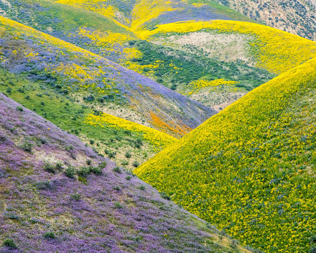 16 Things to Do at Carrizo Plain National Monument [2021] - UponArriving