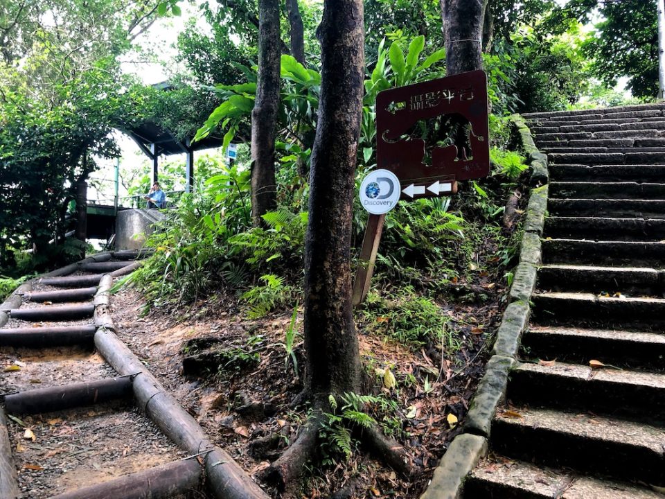 Ultimate Guide to Elephant Mountain in Taipei (象山, Xiangshan ...