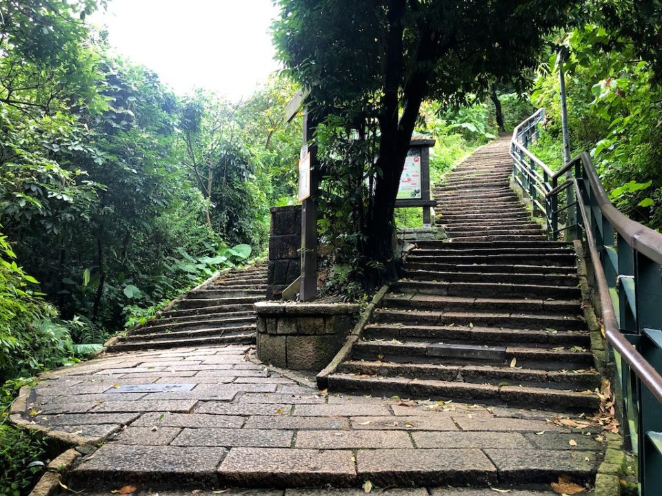Ultimate Guide to Elephant Mountain in Taipei (象山, Xiangshan ...