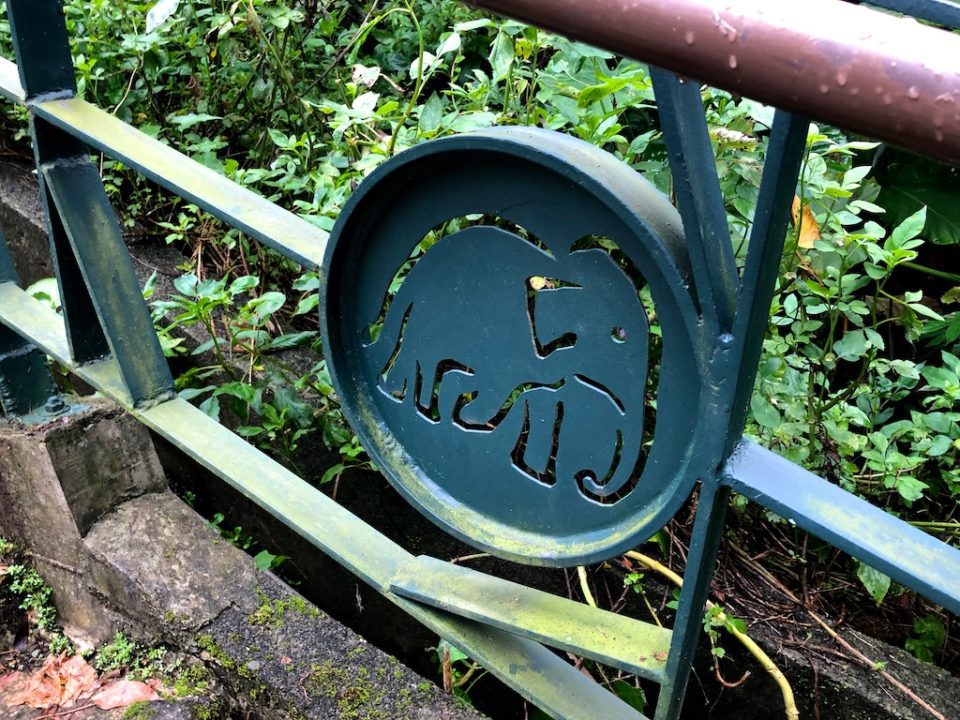 Ultimate Guide to Elephant Mountain in Taipei (象山, Xiangshan ...