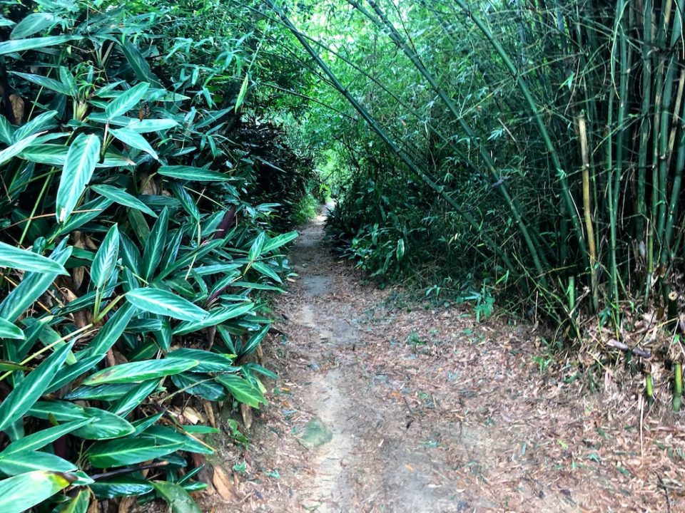 Ultimate Guide to Elephant Mountain in Taipei (象山, Xiangshan ...