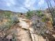 Tanque Verde Ridge Trail Hike Review | Saguaro National Park - UponArriving