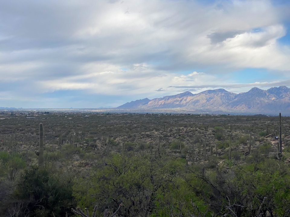Tanque Verde Ridge Trail Hike Review | Saguaro National Park - UponArriving