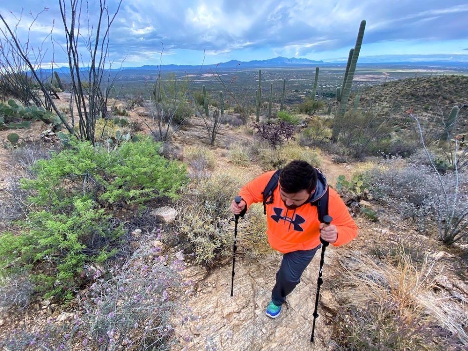 Tanque Verde Ridge Trail Hike Review | Saguaro National Park - UponArriving