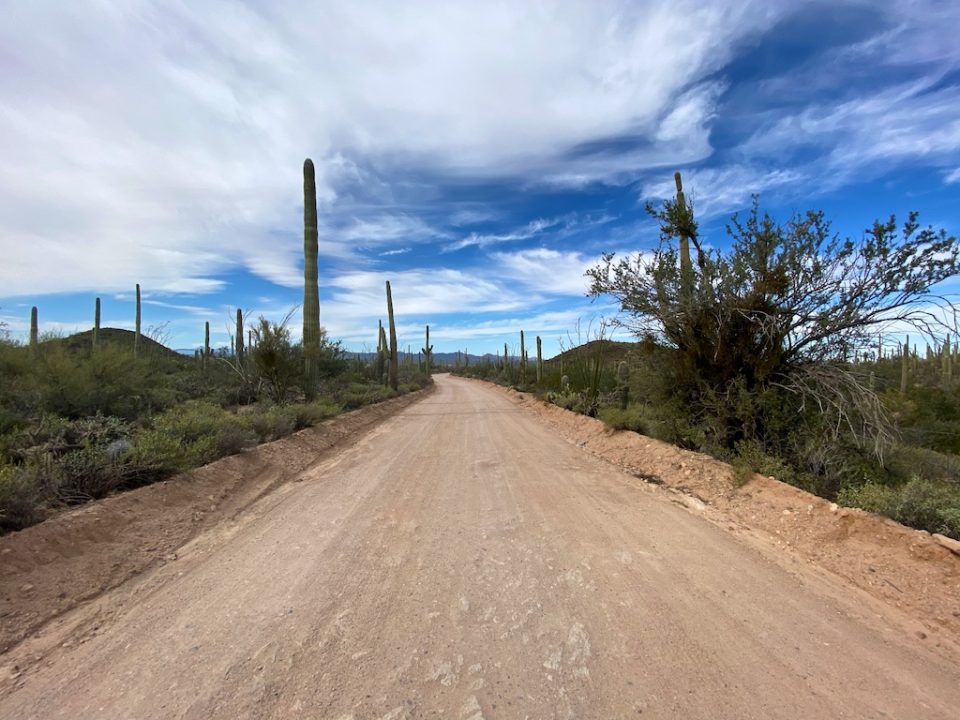 Valley View Overlook Trail | West Saguaro National Park - UponArriving