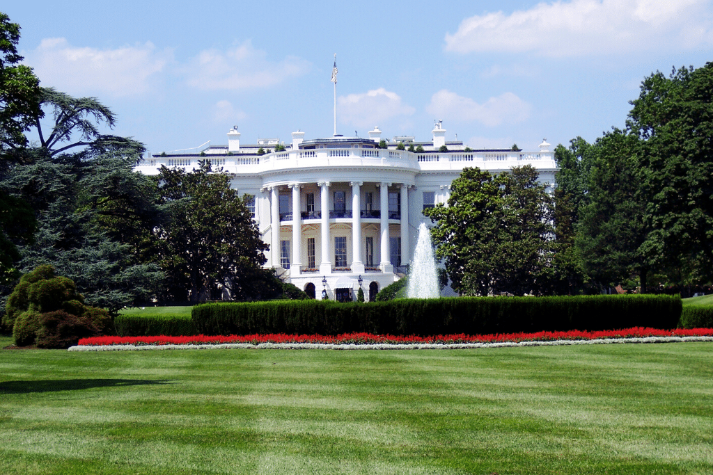 Next stimulus package will be "very dramatic" - UponArriving