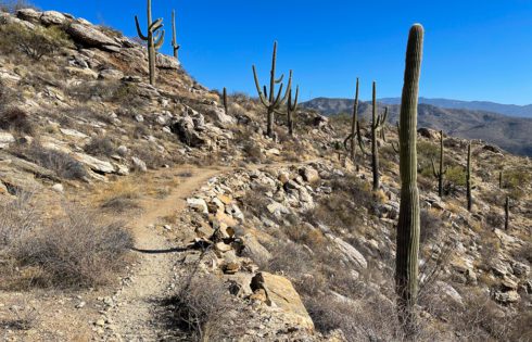 babat-duag - UponArriving