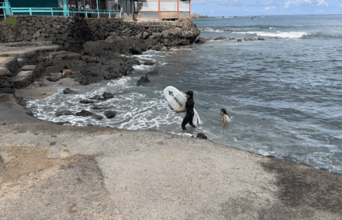 Pea-swimming-pool-turtle-2 - UponArriving