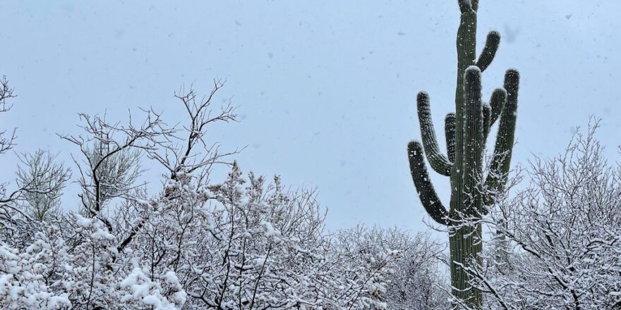 Does It Snow in Tucson Arizona? Your Guide to a White Tucson - UponArriving