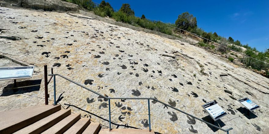 Dinosaur Ridge Review: A Prehistoric Trek with World-Class Tracks [2023 ...