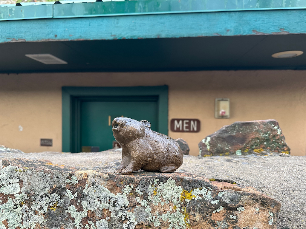 Pikas-in-the-Park_2 - UponArriving