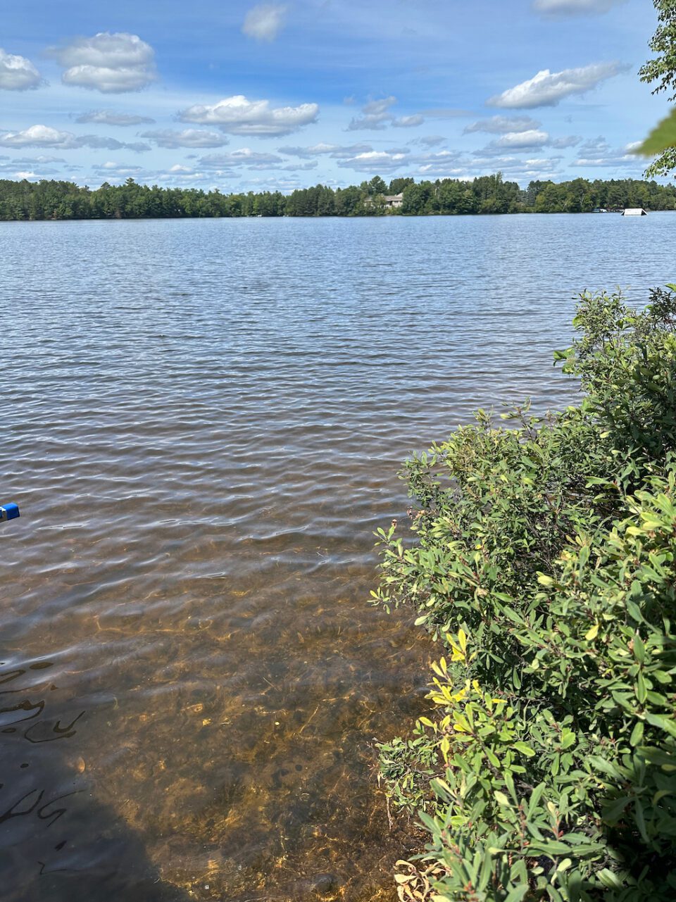 Exploring Hodag Folklore in Rhinelander, Wisconsin: What Are These ...