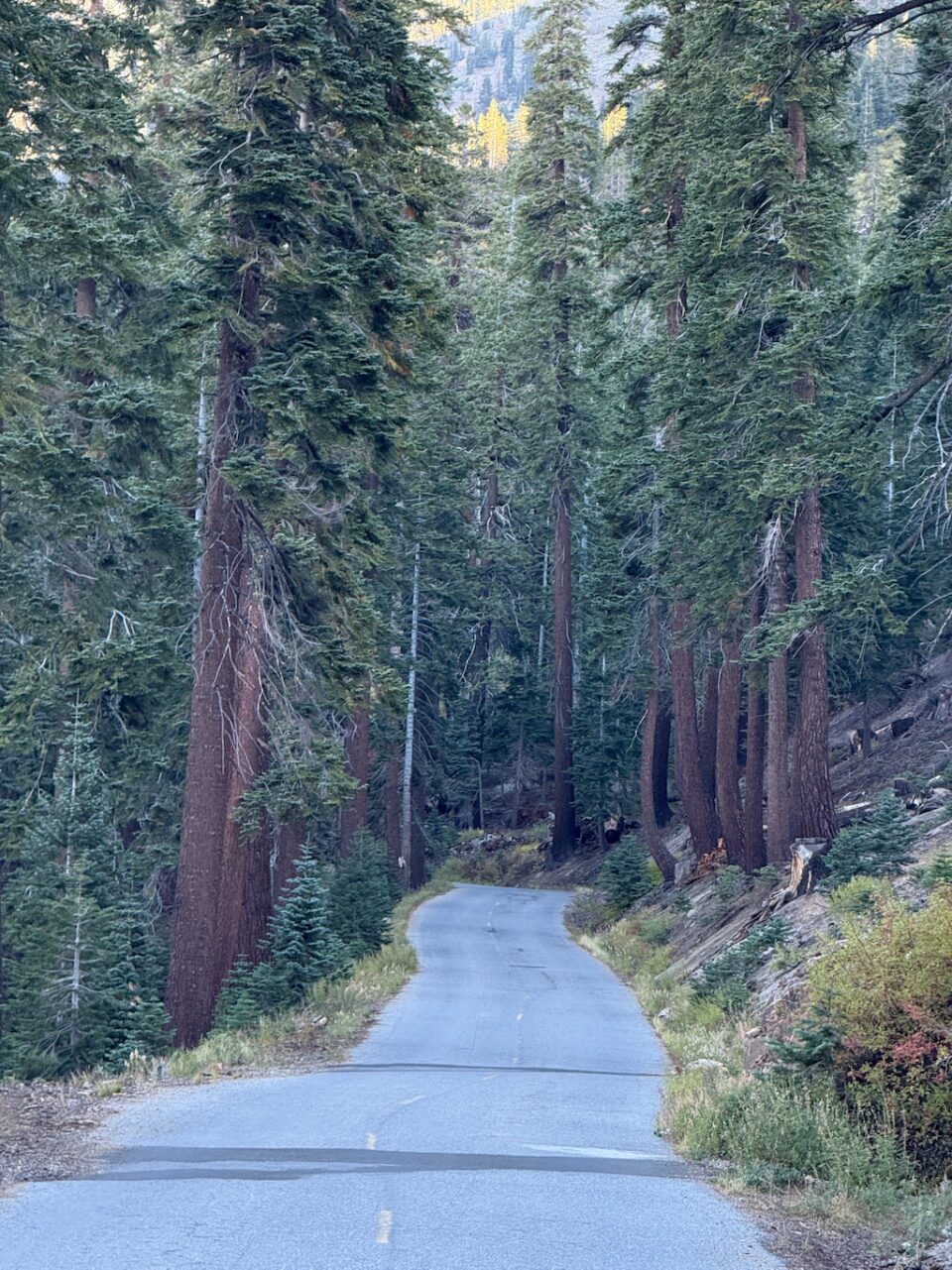 Exploring Devils Postpile National Monument, A Geological Wonder in ...